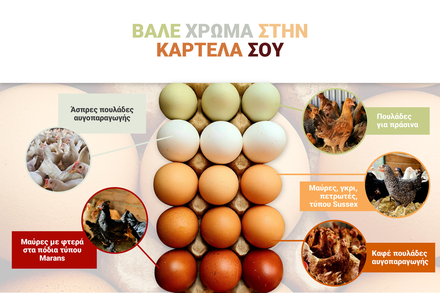 Natura Farm - Κότες, Πουλιά, Πουλάδες, Κοκόρια, Πουλερικά