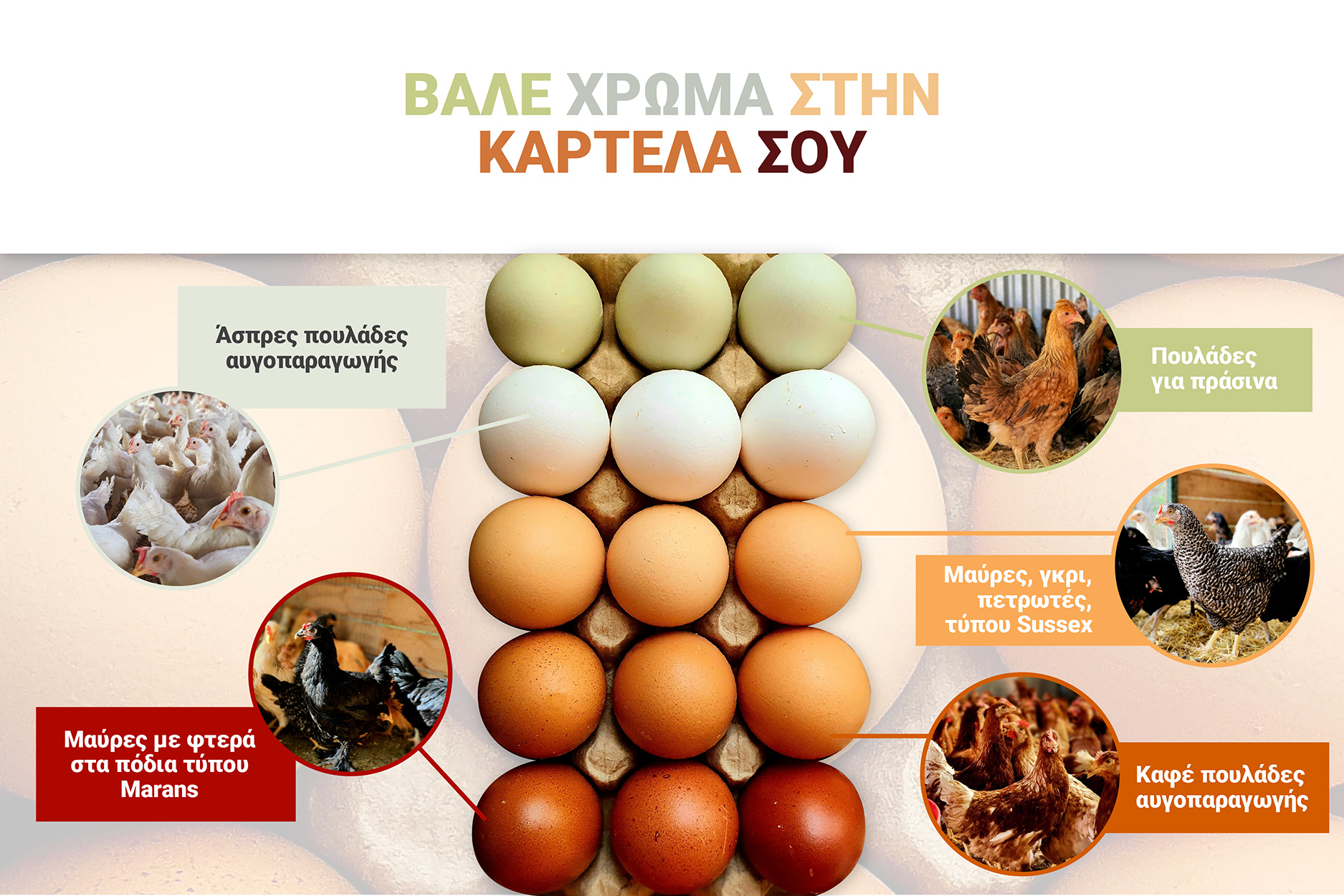 Natura Farm - Κότες, Πουλιά, Πουλάδες, Κοκόρια, Πουλερικά